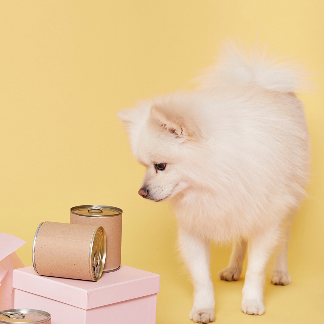 Canned Dog Food – Mobile Pet Foods