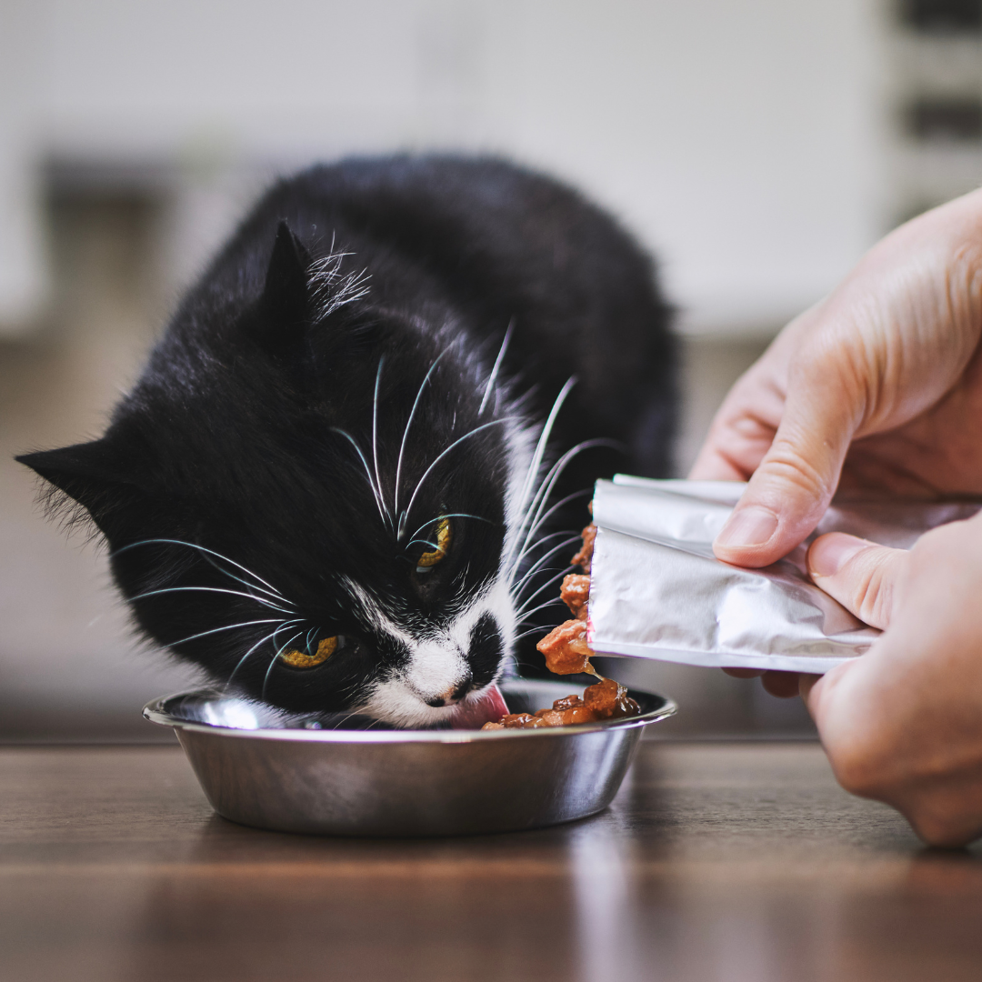 Cat Pouches, Trays & Foils – Mobile Pet Foods