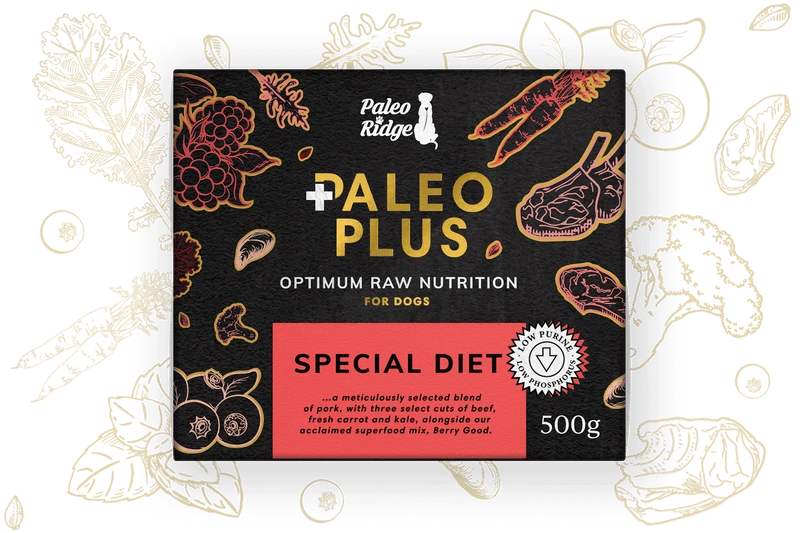 Paleo Ridge Paleo Plus Special Diet 500g – Mobile Pet Foods